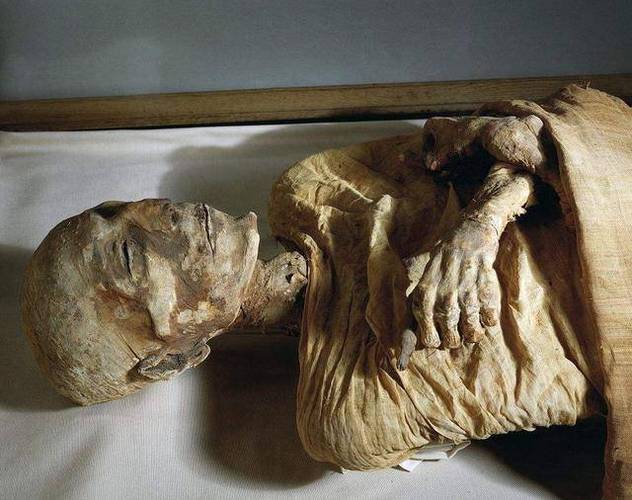 活人玩死人图标