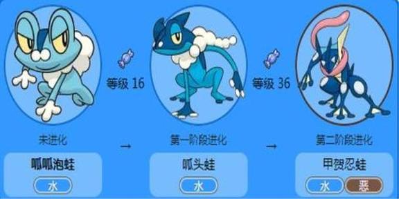 甲贺忍蛙多少级进化截图