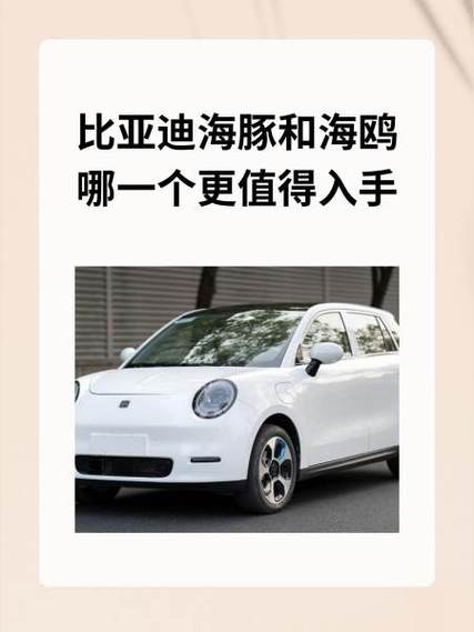 海鸥和海豚哪个好图标