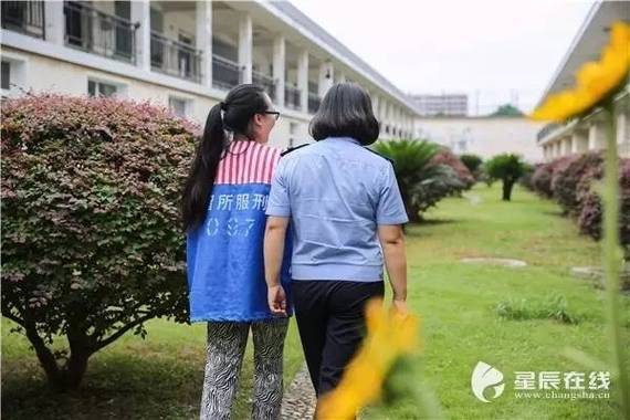 手机怎么连接家用摄像头图标