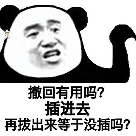 给我撤回表情包图标