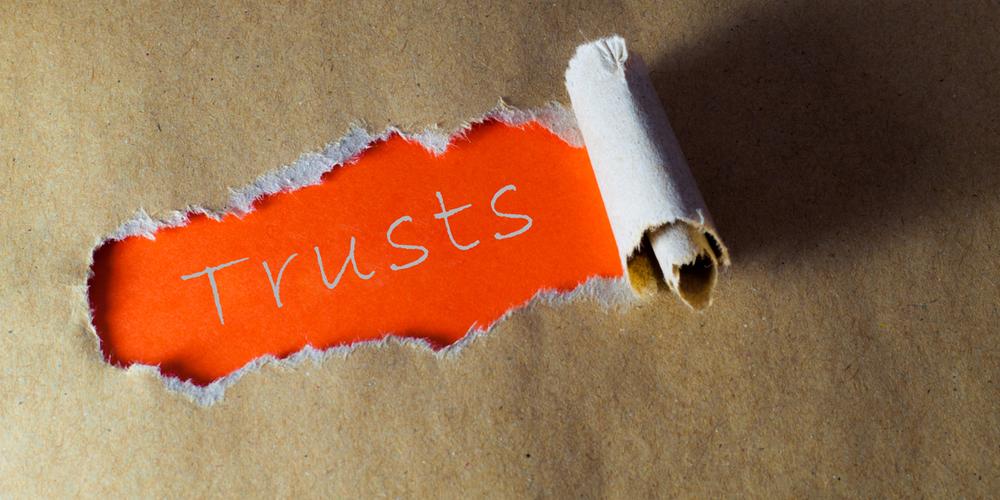 TrustAccess图标