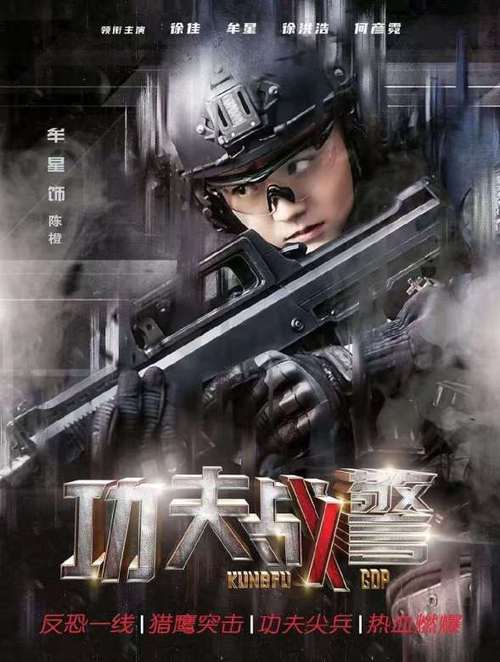 2020功夫战警电视剧在线观看图标