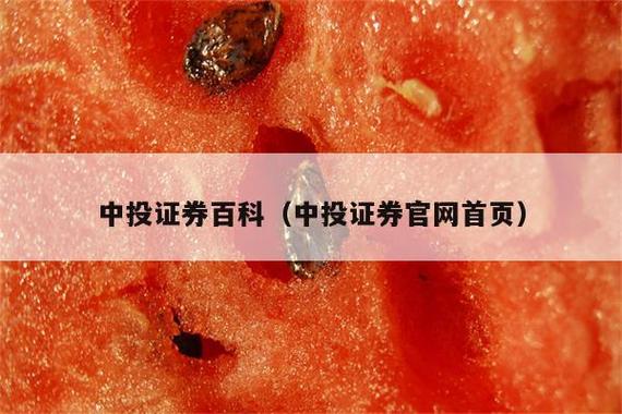 中投证券手机下载软件截图