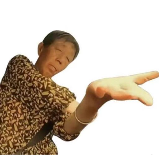 大妈出现 表情包图标