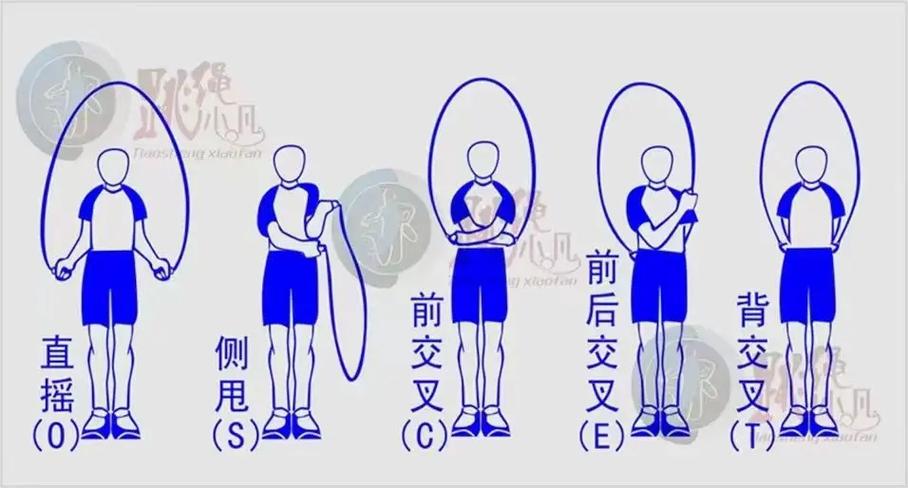 跳绳是平移还是旋转图标