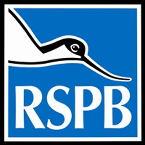 英国最新网鸟招聘图标