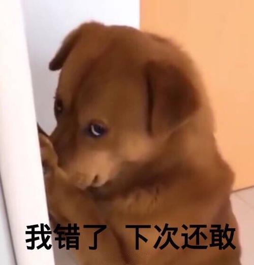 下次还敢的表情包图标