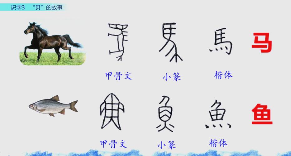 贝的字源图标