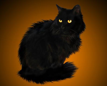 黑色波斯猫截图