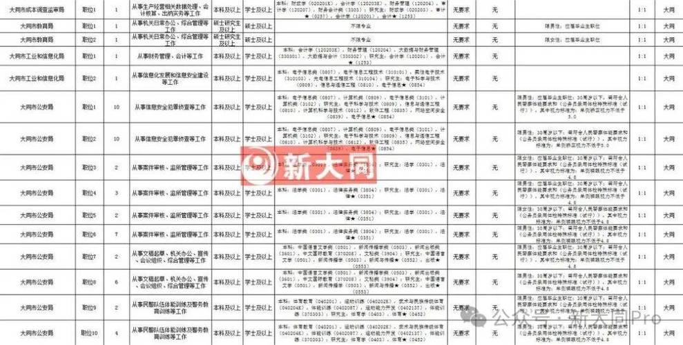 大同政府网官网公开招聘图标