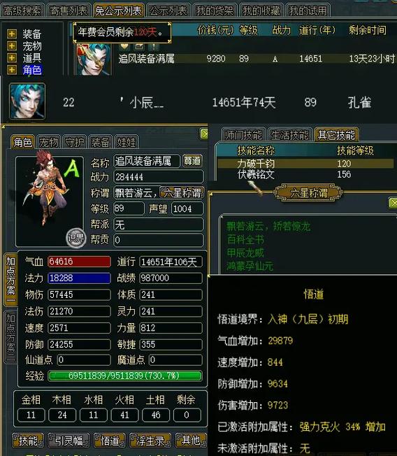 问道装备怎么升星星图标