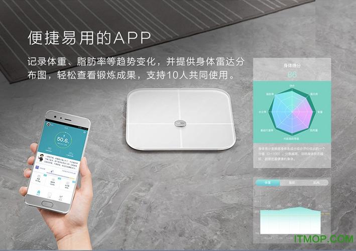 体脂秤通用app图标
