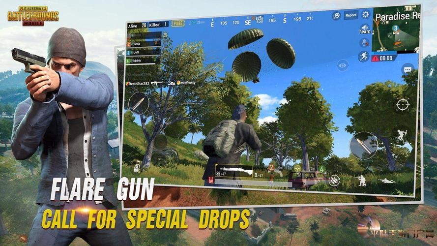 pubgmobile绿色资源网下载截图