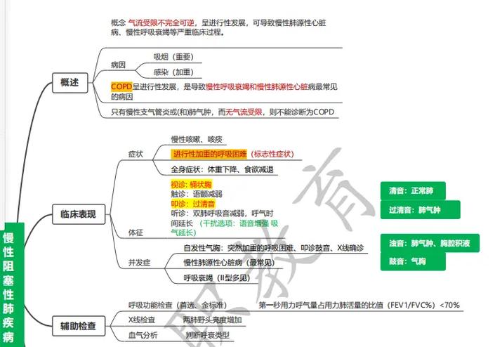 呼吸系统导图笔记截图
