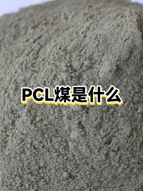 pcl在医学是什么的缩写图标