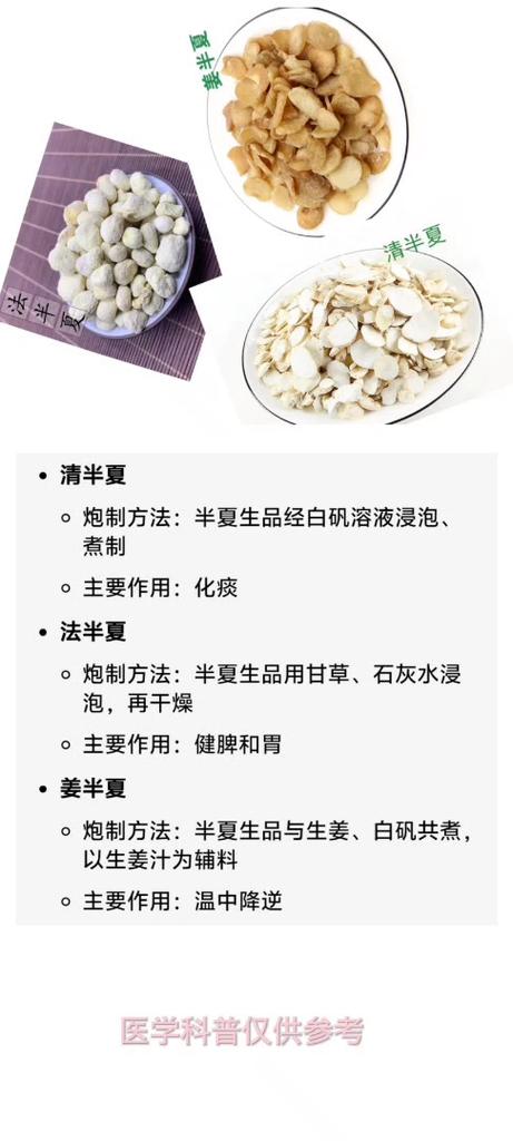 半夏是姜半夏还是法半夏图标