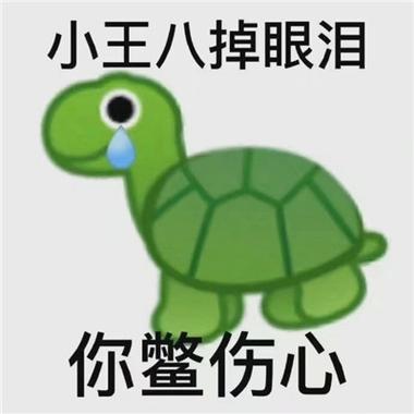 骂人的王八图片搞笑图标