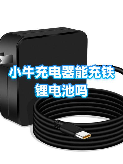 小牛充电器可以互用吗图标