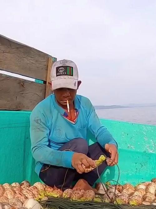用什么诱饵捕海螺图标