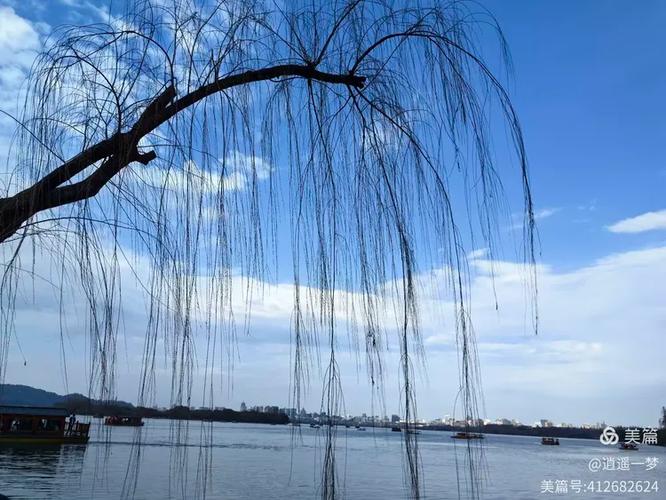 春风十里无限晴截图
