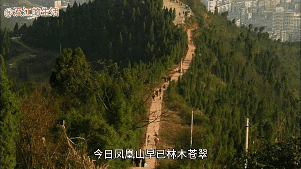 凤凰山搬迁最新动态图标