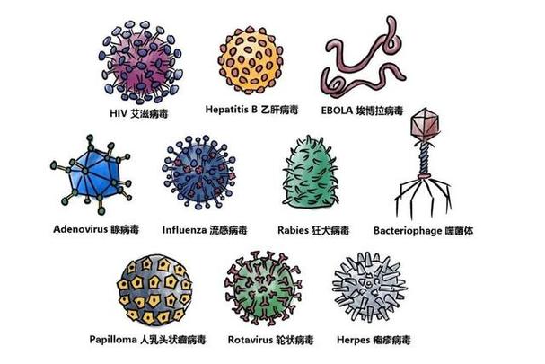 病毒图标