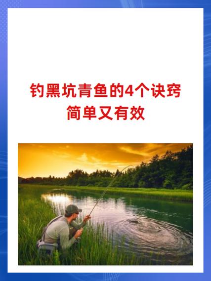 黑坑钓青鱼最好最快的方法图标