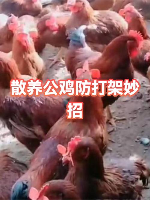 打架如何躲避攻击图标
