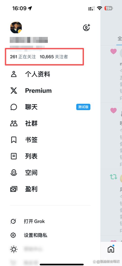 国内如何使用推特图标