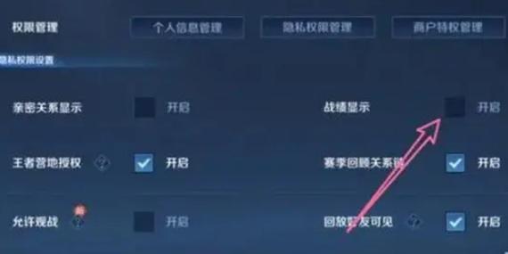 王者荣耀不让好友看历史战绩截图