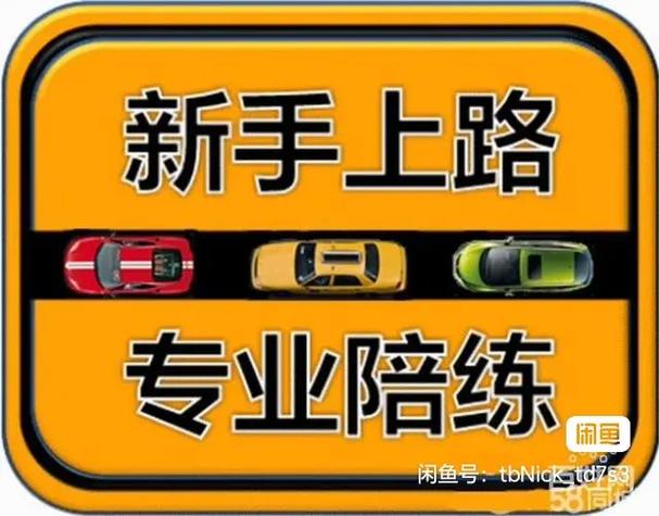 新手陪练