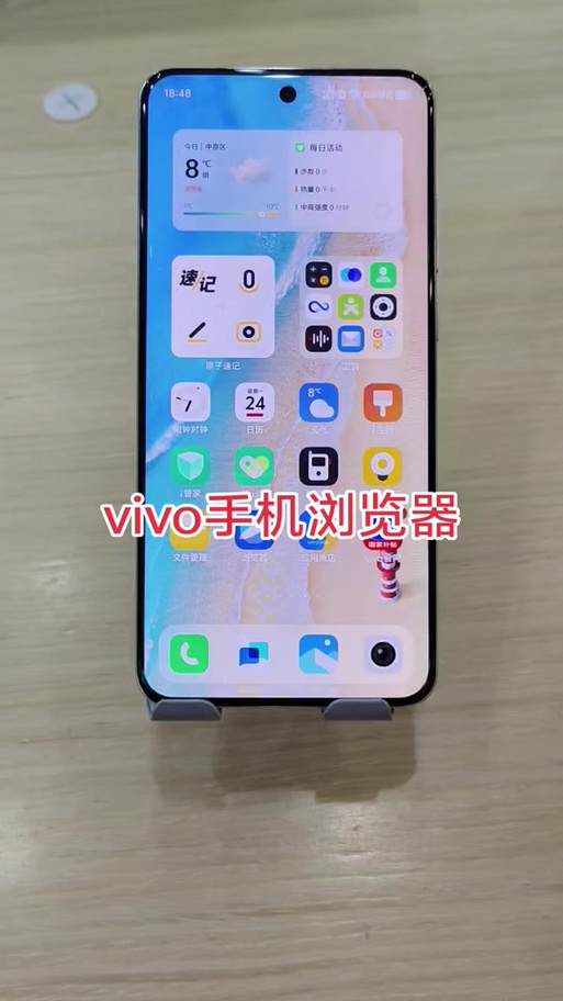 vivo浏览器6.0版本图标
