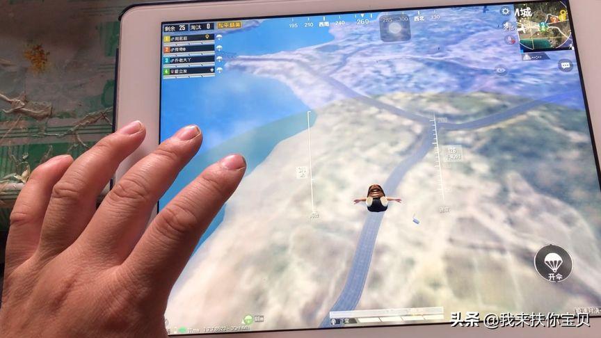 ipad air能玩和平精英吗图标