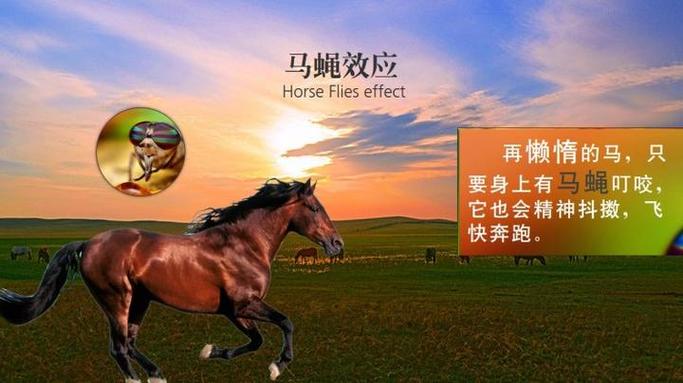 马蝇定律图标
