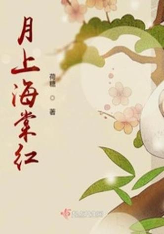 上海棠小说图标