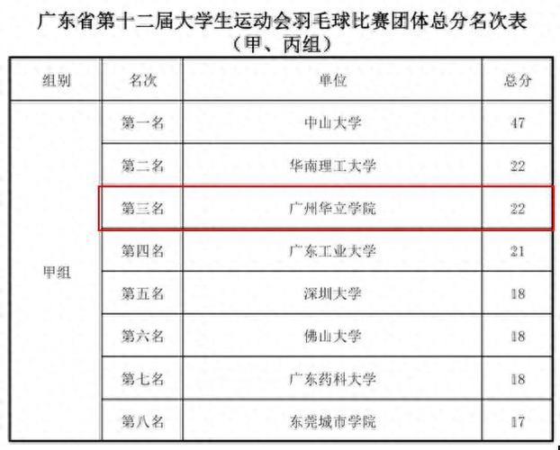 羽毛球教练级别一览表图标