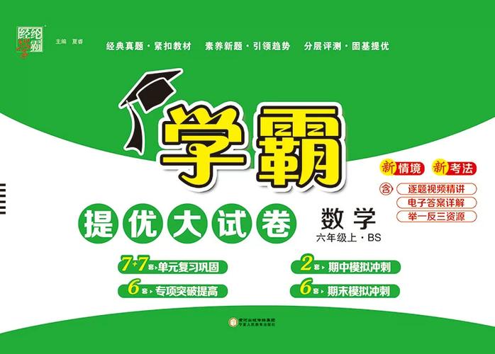 提优版图标