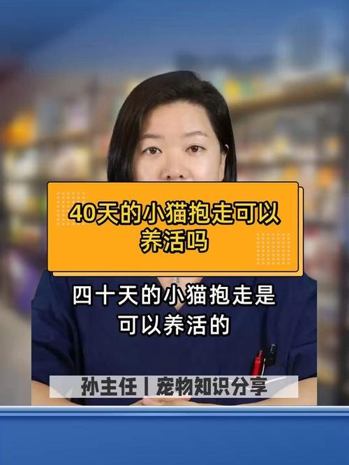 猫40天可以带走了吗