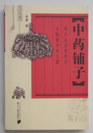 栀鸢半夏的意思游戏截图