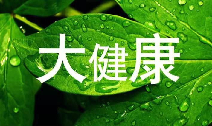 大健康图标