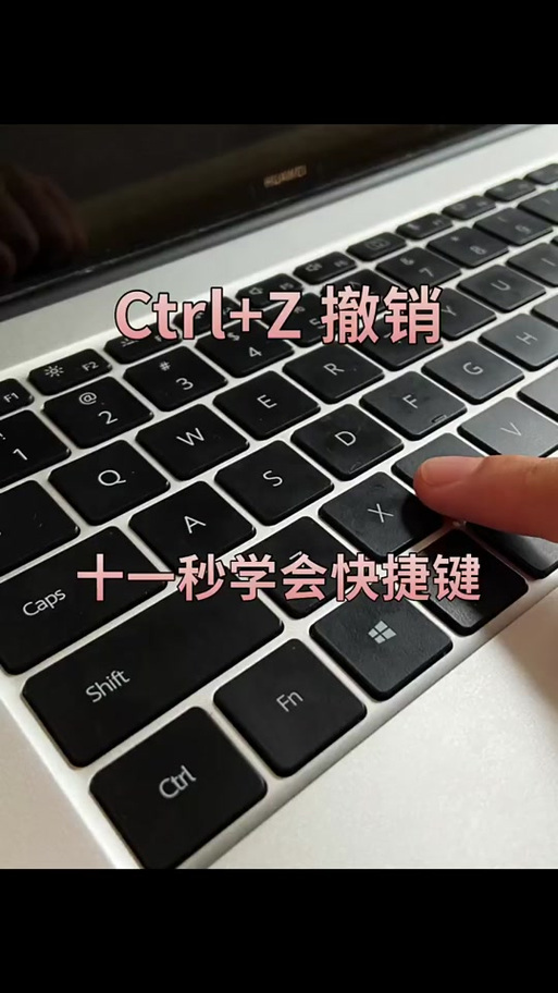 键盘ctrl加z图标