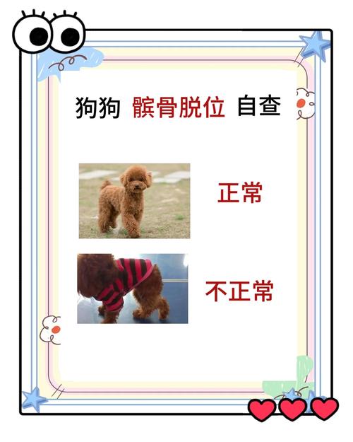 狗几个月可以吃骨头