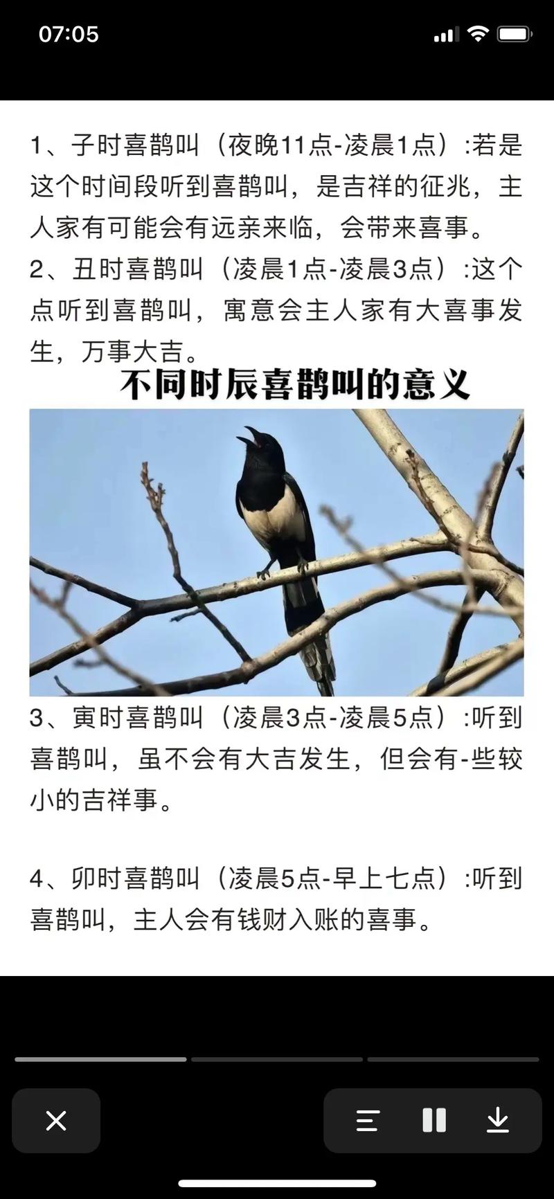 喜鹊儿学情警示准吗截图