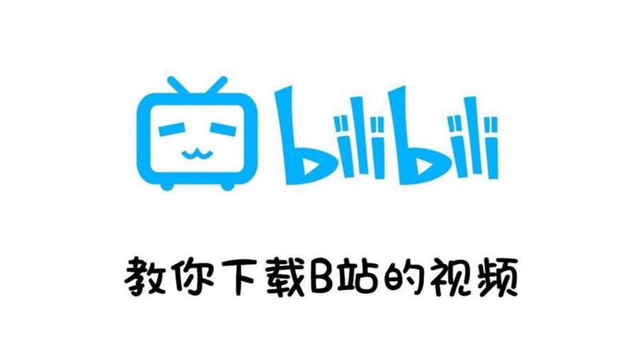 b站TV版apk截图