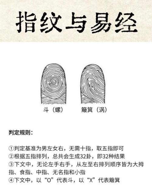 免费指纹算命截图