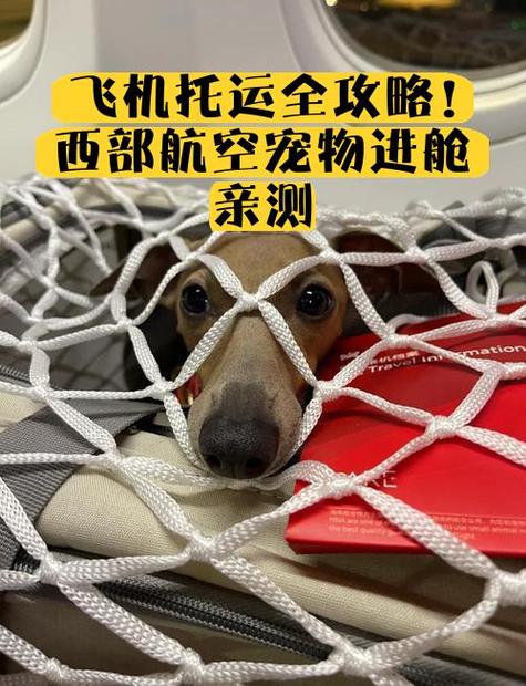 西部航空托运怎么收费截图