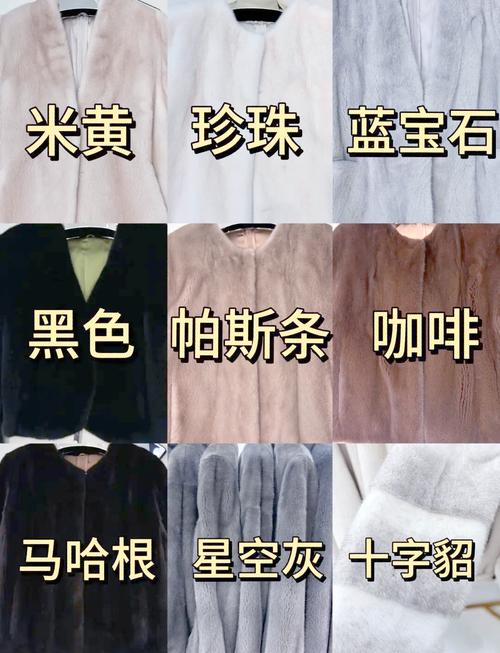 染色貂皮能穿几年图标
