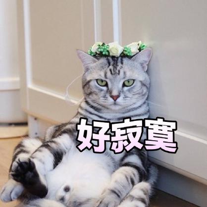 lonely在情侣之间的意思图标