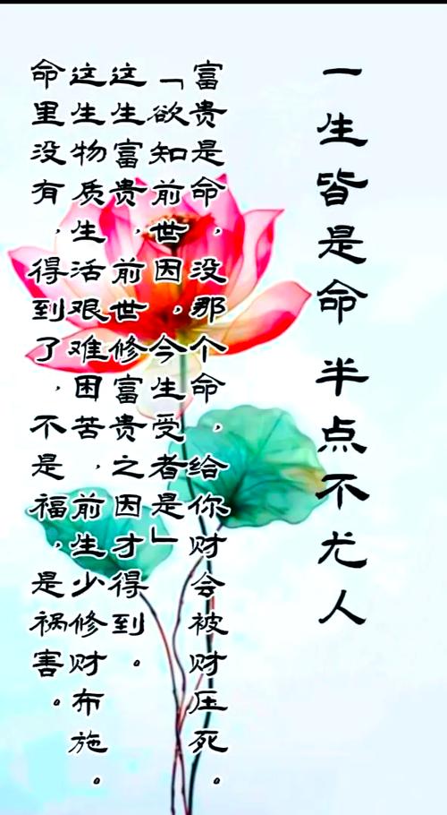 命是天注定,运是靠自己图标